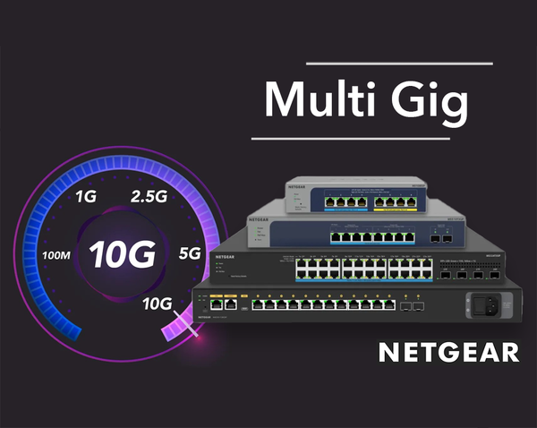 NETGEAR SMB 網上官方旗艦店